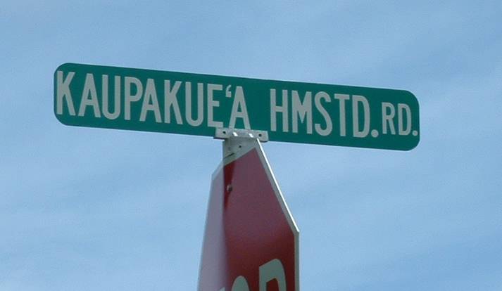 Hawaiian Street Signs